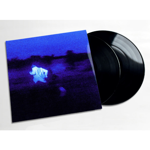 Daniel Caesar – Never Enough(2 x Vinyl, LP, Album) | Shopee Philippines