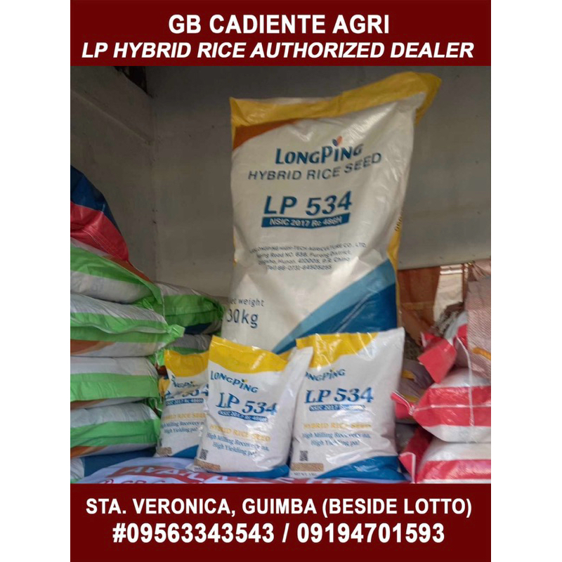 3kg LongPing 2096 | 937 | 534 Hybrid Rice Seed | Guaranteed Authentic | Shopee Philippines