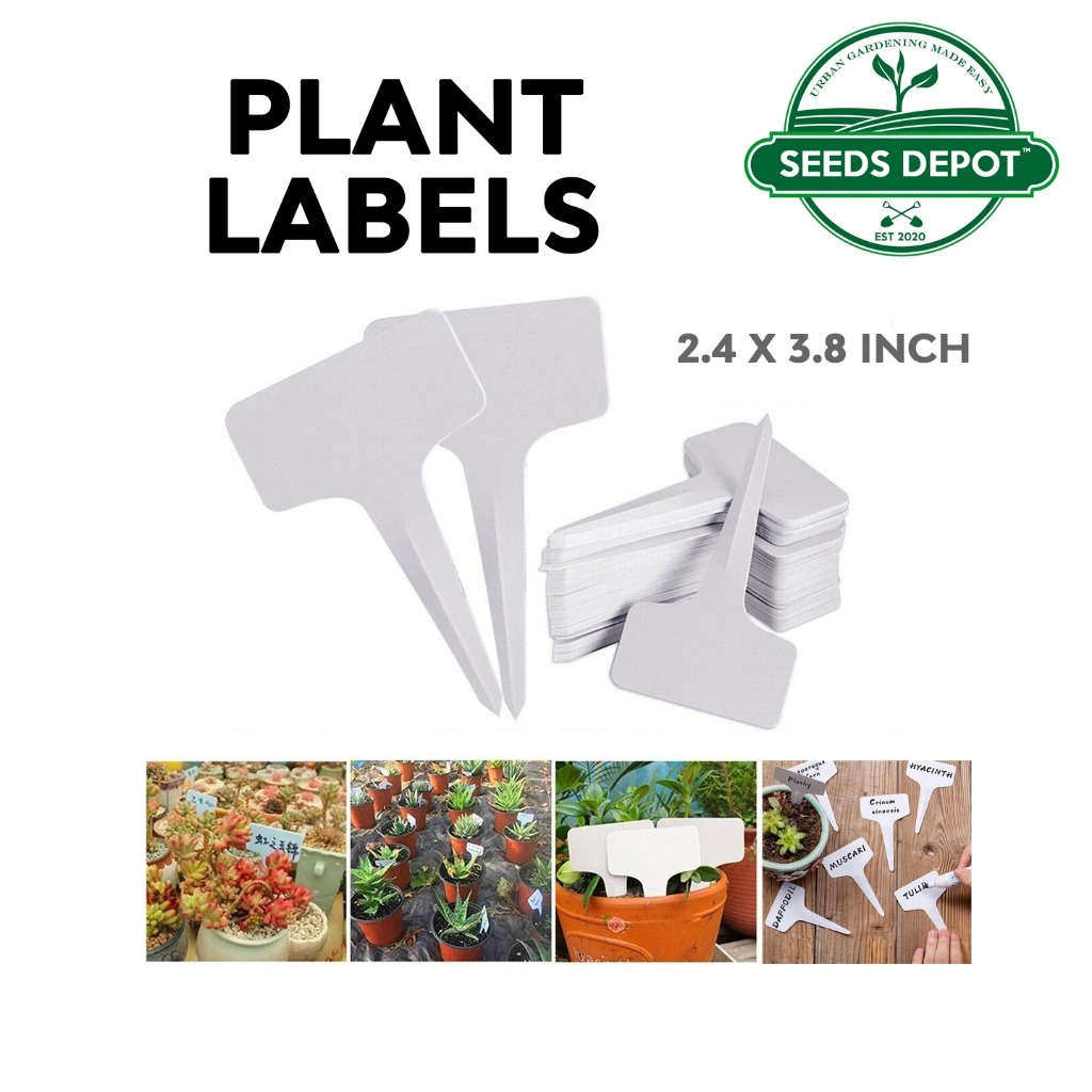 Seedling Labels 20 pcs Large Garden Markers | Shopee Philippines