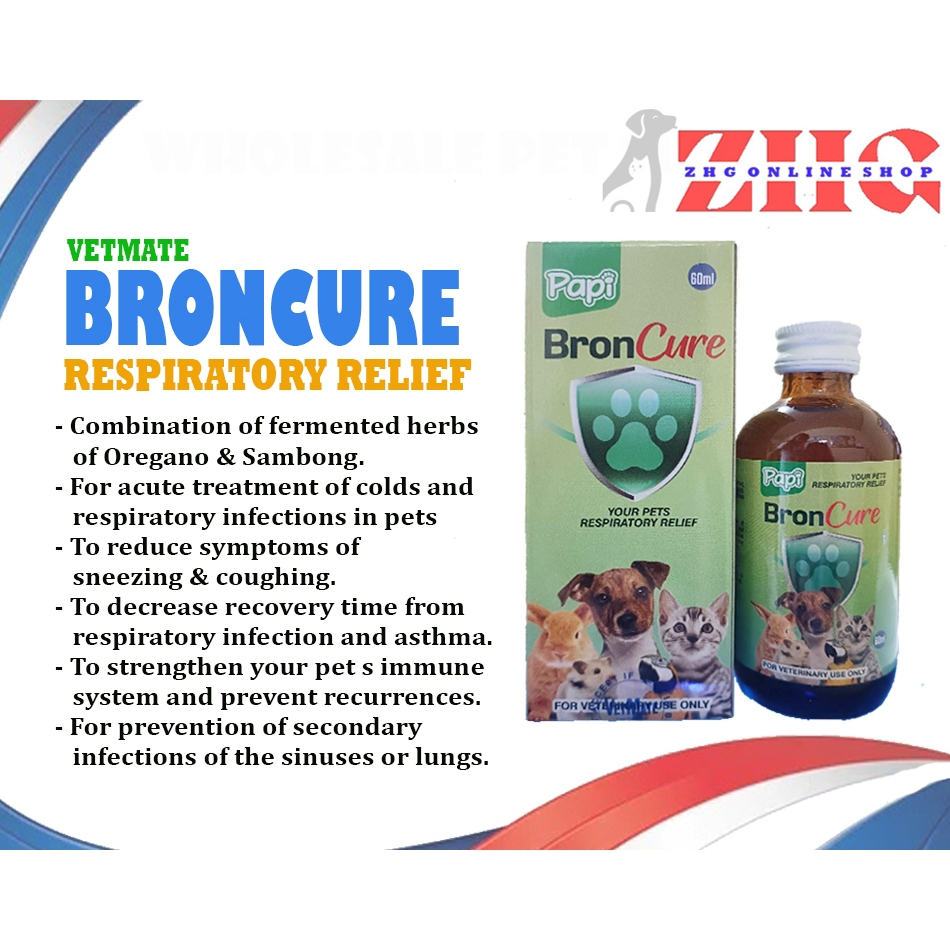 ZHG. PAPI BRONCURE 60ml (For Respiratory Strength) | Shopee Philippines