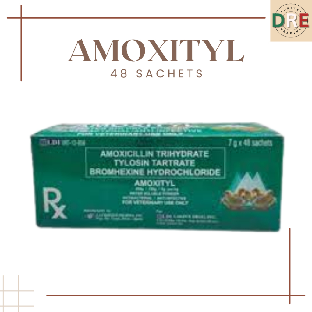 AMOXITYL Forte Powder 7grams (48 Sachets) | Shopee Philippines
