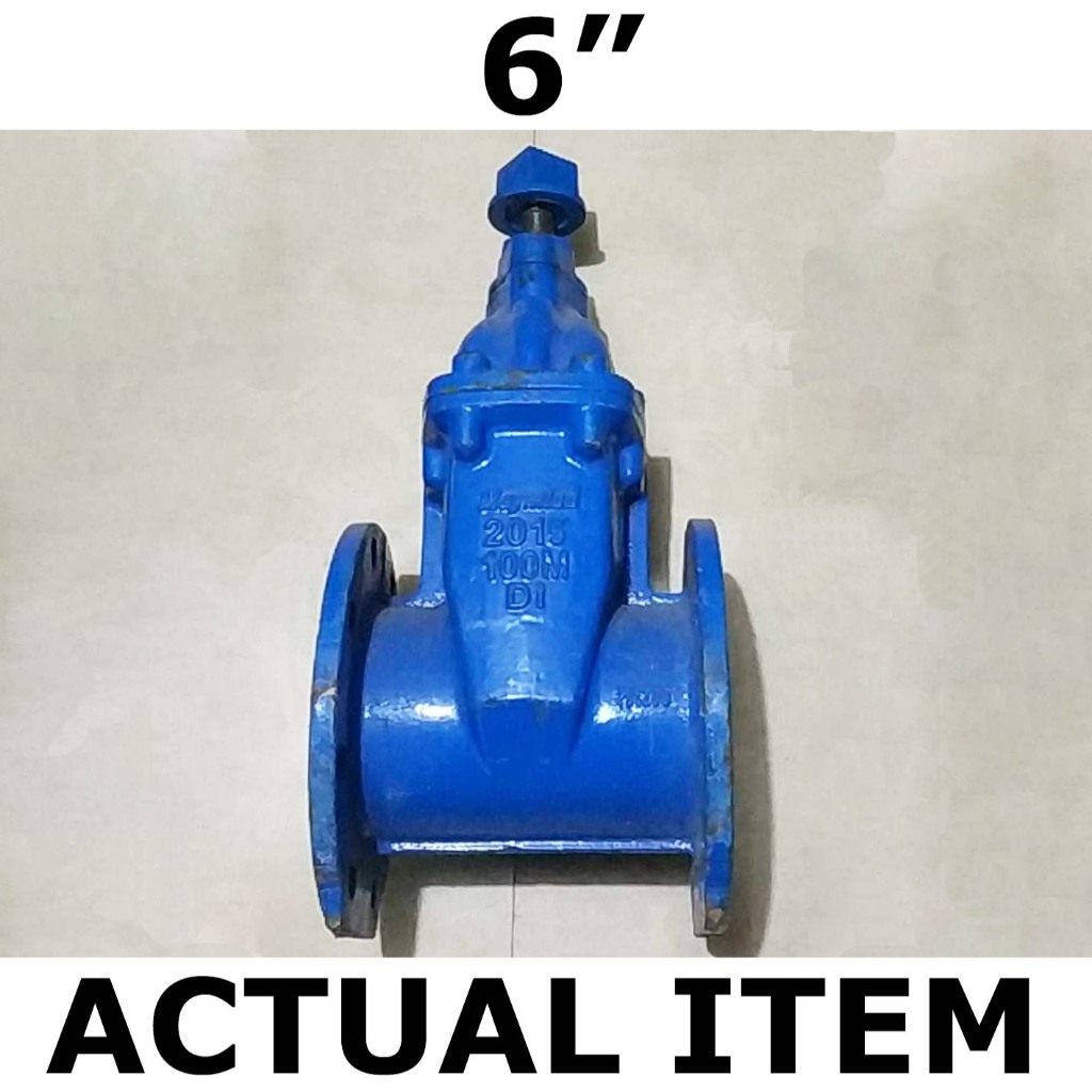 GENERIC DI GATE VALVE 6" FLANGE TYPE BLUE FOR WATER DISTRICT DUCTILE ...