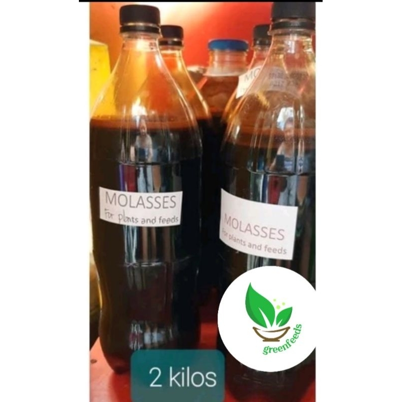 molasses - Best Prices and Online Promos - Jun 2026 | Shopee Philippines