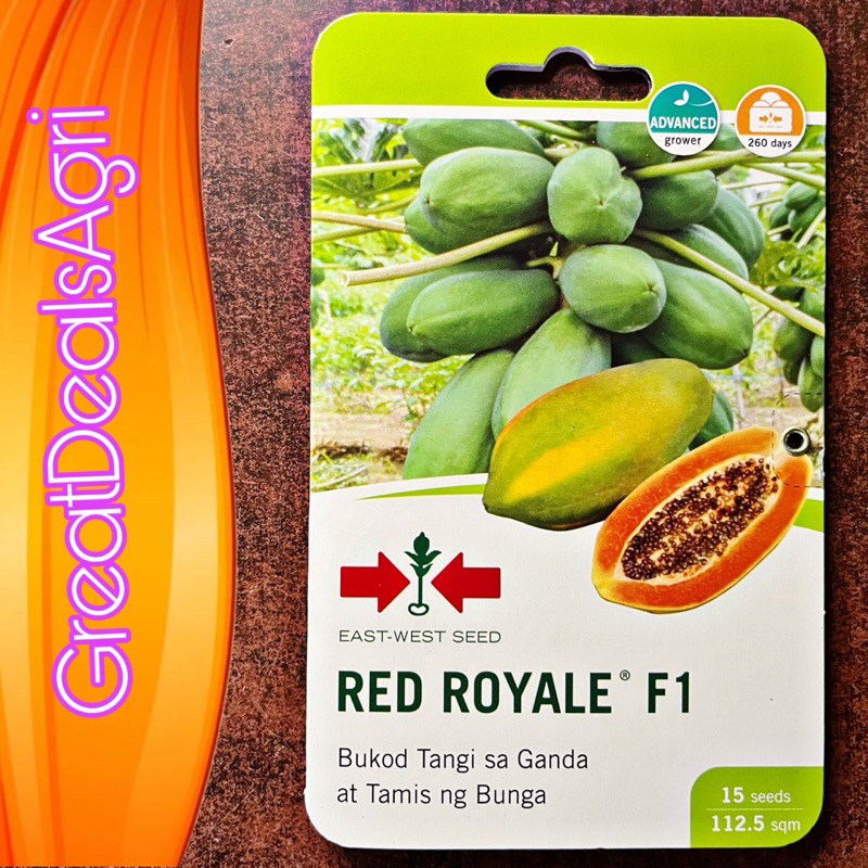 RED ROYALE F1 HYBRID RED FLESH PAPAYA (15 SEEDS) EAST WEST SEEDS ...