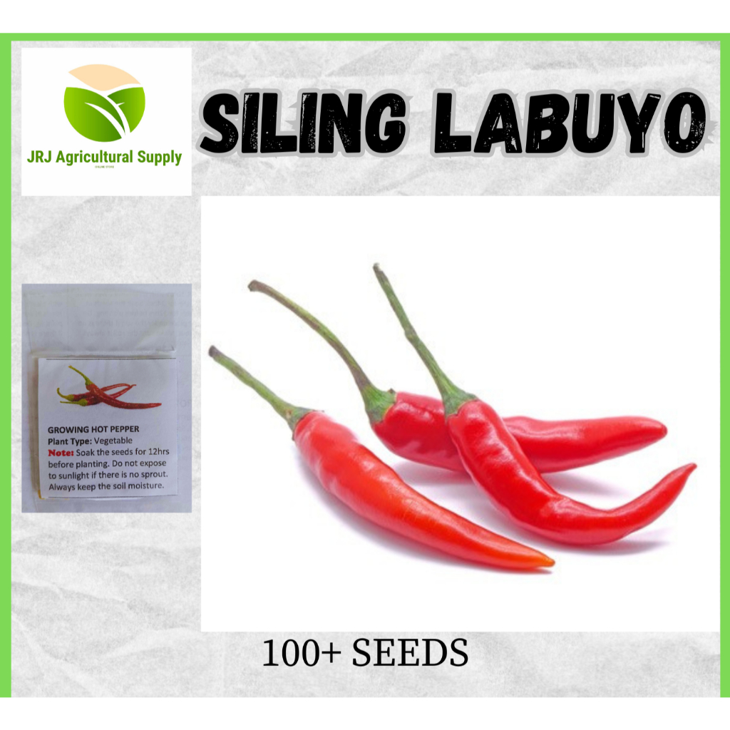 Hot Pepper/Siling Labuyo - 120pcs seeds (1pack) | Shopee Philippines