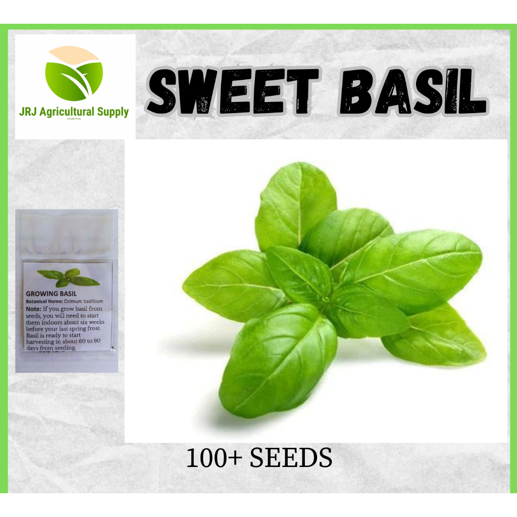 SWEET Basil Genovese ( HERBS) - 100seeds (1pack) | Shopee Philippines