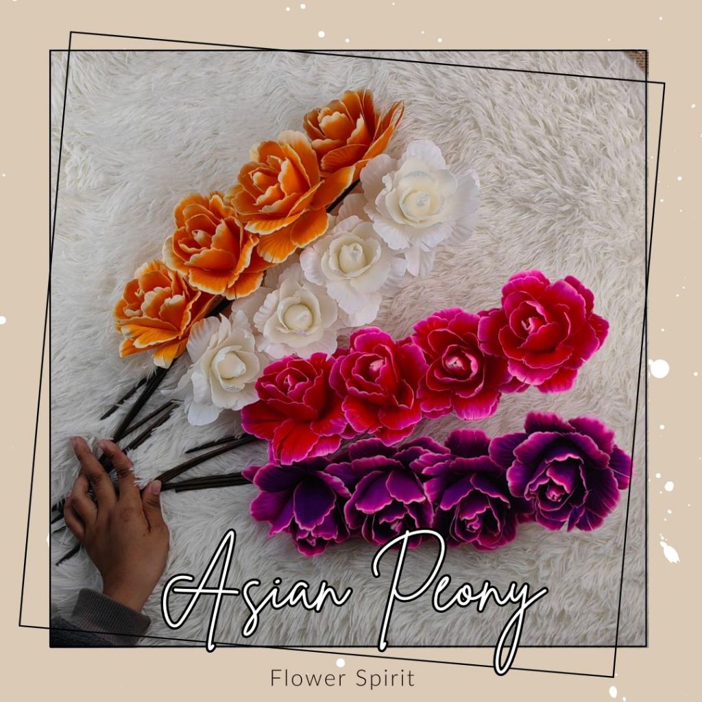 DRIED FLOWERS - Asian Peony per 1 stem, 2 stems and 4 stems | Shopee ...