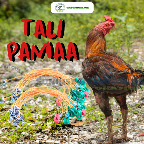TALI PAMAA (CHICKEN ACCESSORIES) | Shopee Philippines