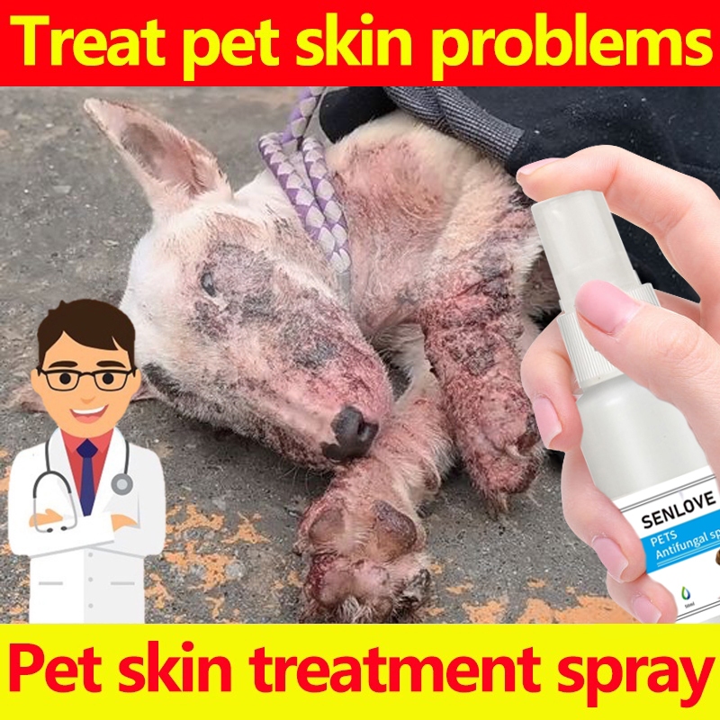 Dog Spray For Skin Disease Pet Anti fungal Spray Gamot Sa Galis Ng Aso ...