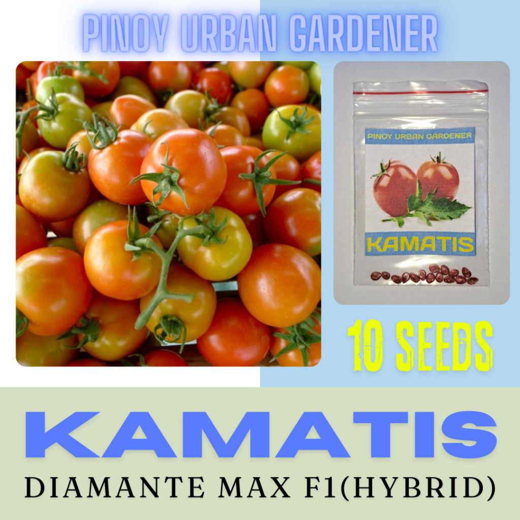 Vegetable Seeds Pechay Kamatis Sili Talong Ampalaya kangkong Okra Sitaw ...