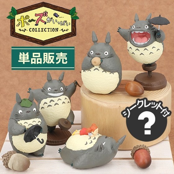 Direct from Japan My Neighbor Totoro. Collection full of poses. Totoro ...