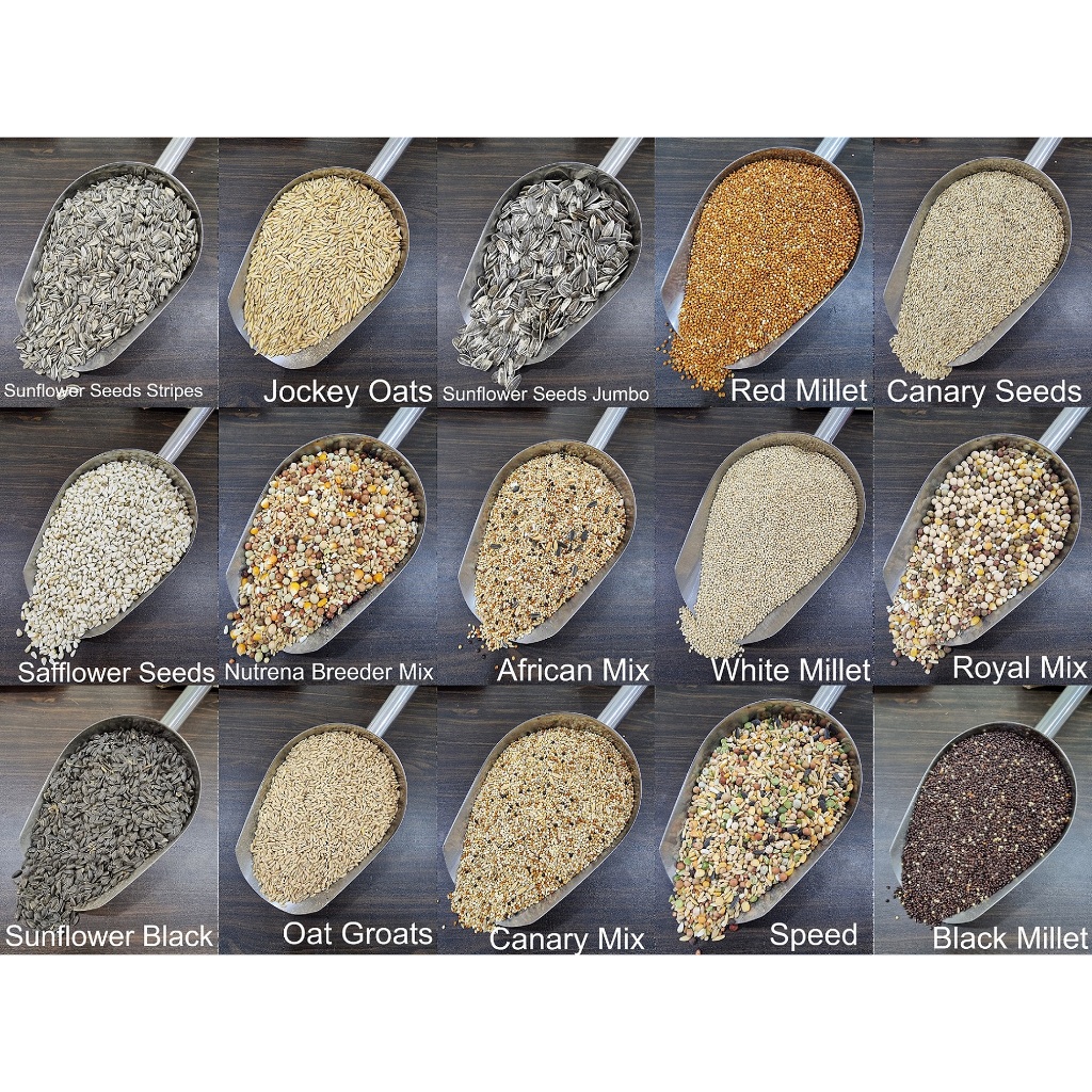 Repacked Bird Seeds: African Mix, Canary Mix, Safflower, Sunflower, Red ...
