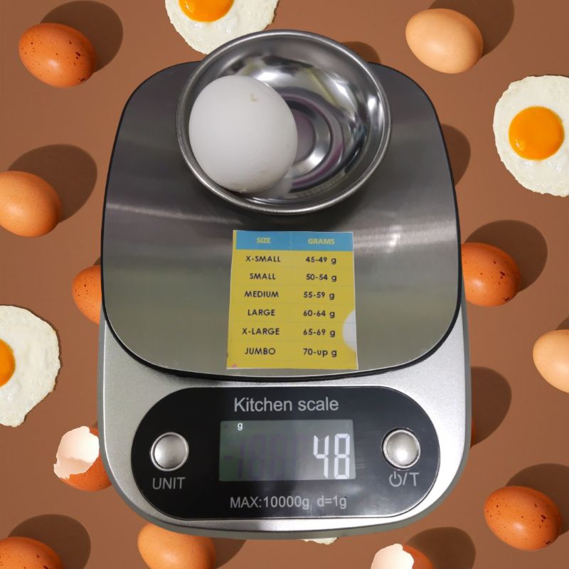 EGG scale kitchen scale 10000g | Shopee Philippines