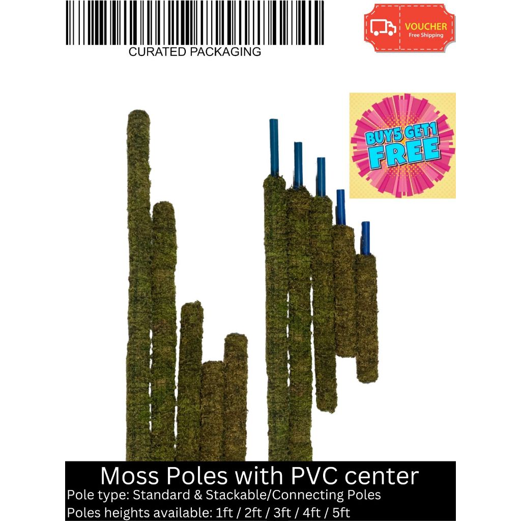 BUY 5, GET 1 FREE! 2ft Moss Poles with PVC Center: Standard & Stackable ...