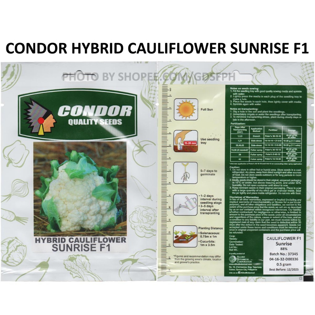 Condor Vegetable Seeds F1 CDV-F1 Cauliflower SunRise gdS41207 | Shopee ...