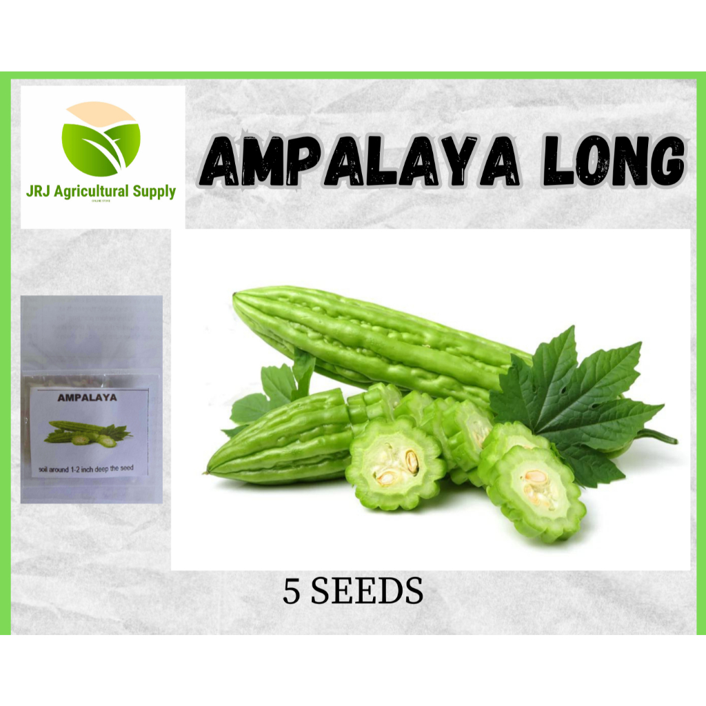 Long Ampalaya Seeds / Mestisa F1 ( 5 pcs seeds ) - 1 pack | Shopee ...