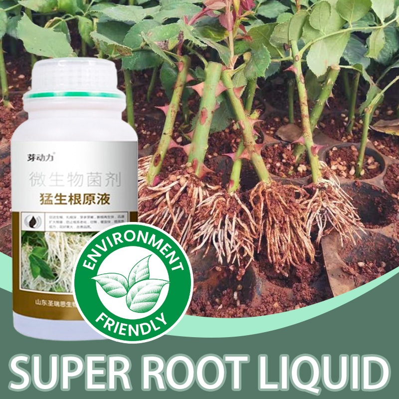 rooting liquid for plants 1000 G from Japan | Shopee Philippines