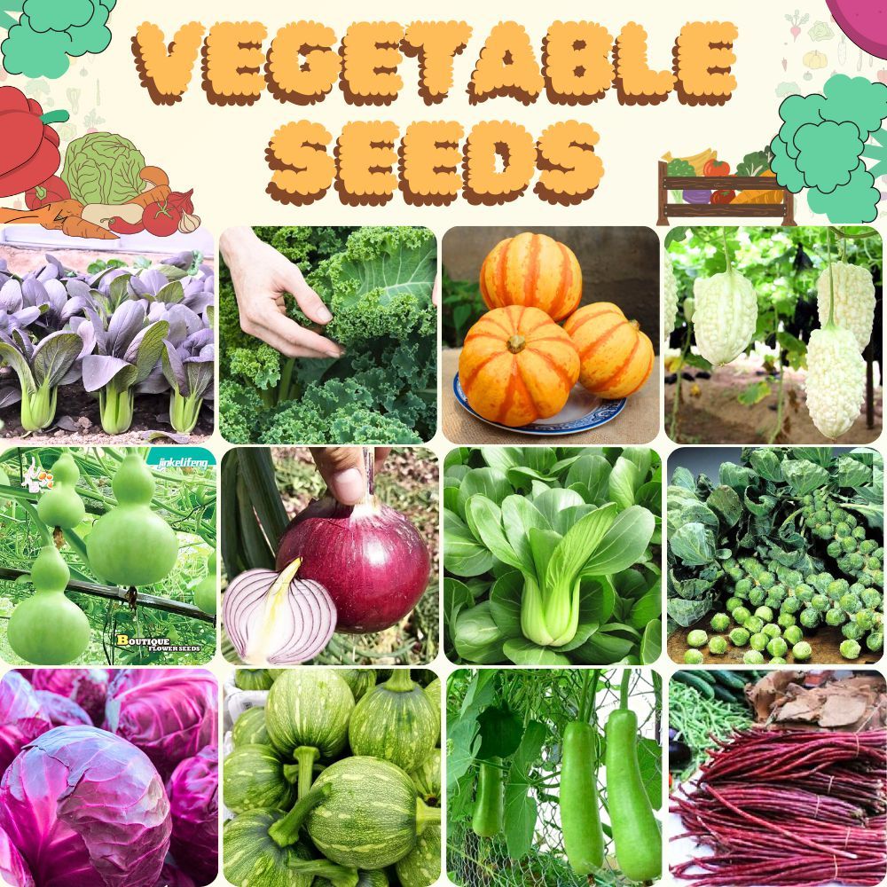COmbo vegetable seeds of all kinds grown all year round, suitable for ...