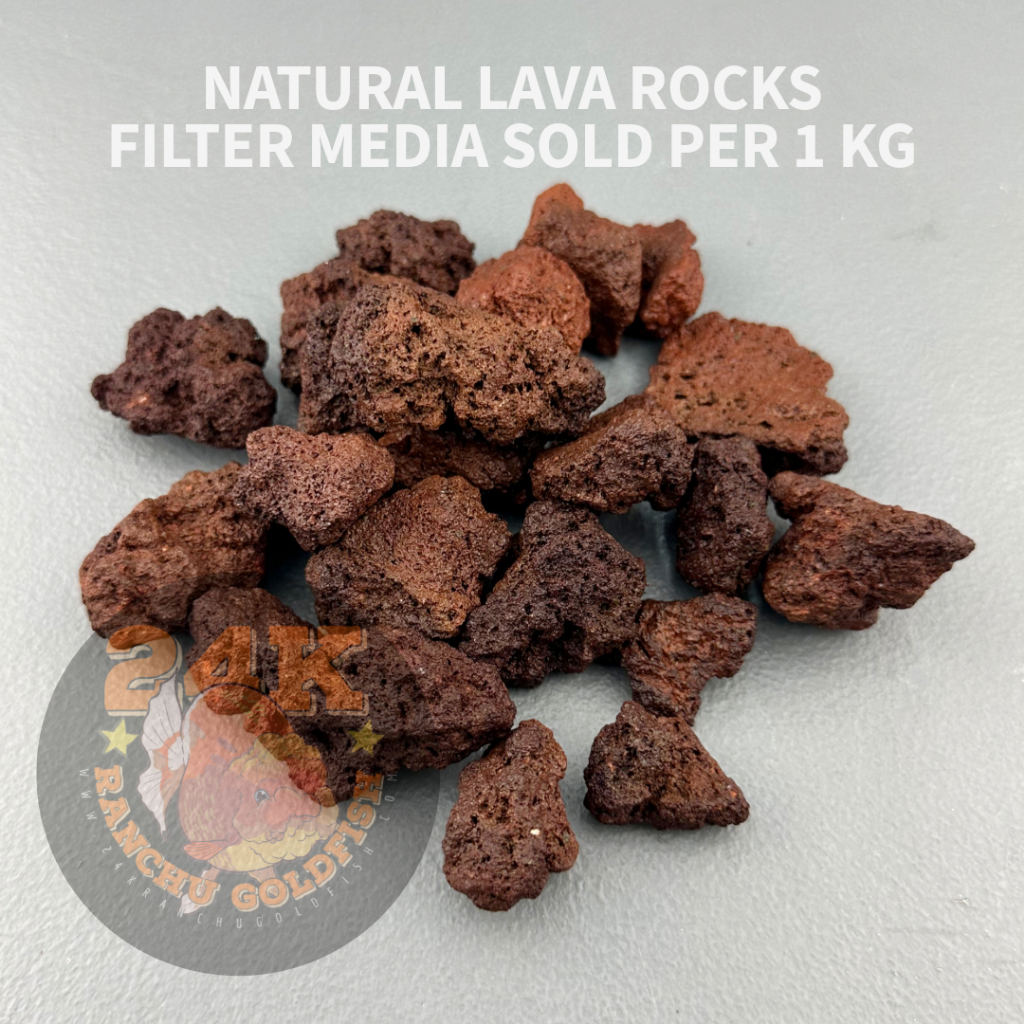 NATURAL LAVA ROCKS FILTER MEDIA FOR SUMP TANK, POND, FISH TANK, AND ...