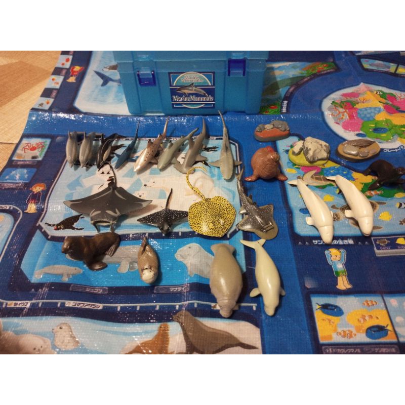 Colorata Marine Mammals | Shopee Philippines