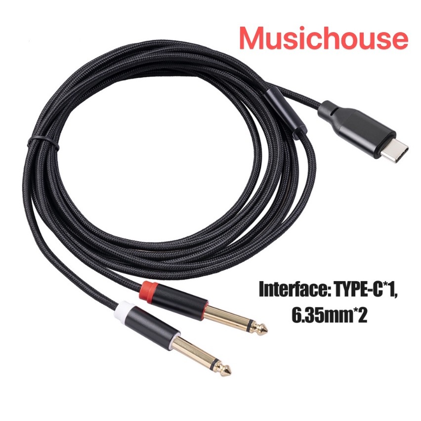 Audio Extension Cable Type-C Male to Dual 6.35mm Mono Audio Converter ...