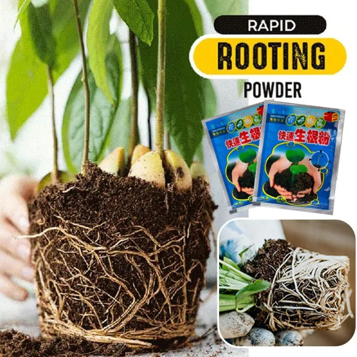 100pack Fast Rooting Powder Hormone Growing Root Seedling Clone Plant ...