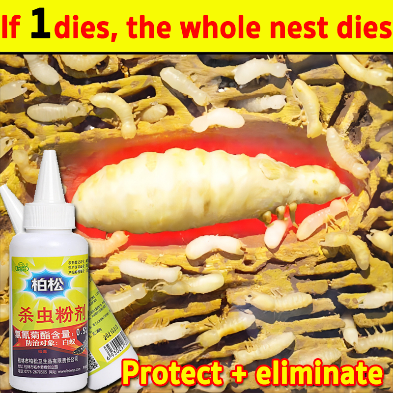 75g Anay termite killer ant medicine termite killer powder | Shopee ...