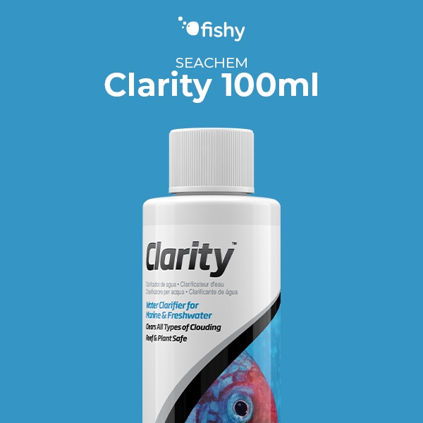 Seachem Clarity 100ml - Best Water Clarifier for Crystal Clear ...