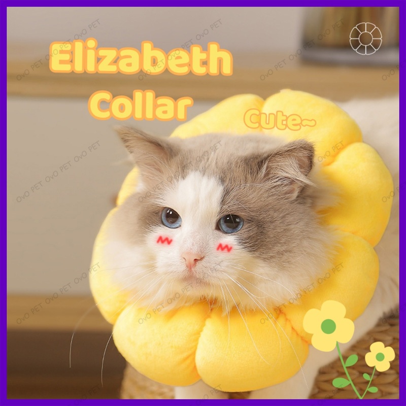 Lovely Elizabeth Collar Elizabethan Collar For Cat Elizabeth Circle For ...