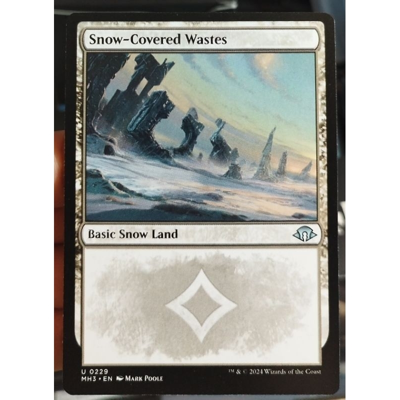Snow-Covered Wastes (Magic the gathering) | Shopee Philippines