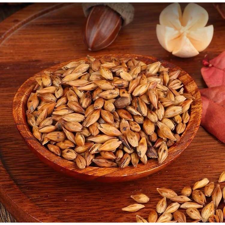 Barley tea natural roasted rice tea 50g | Shopee Philippines