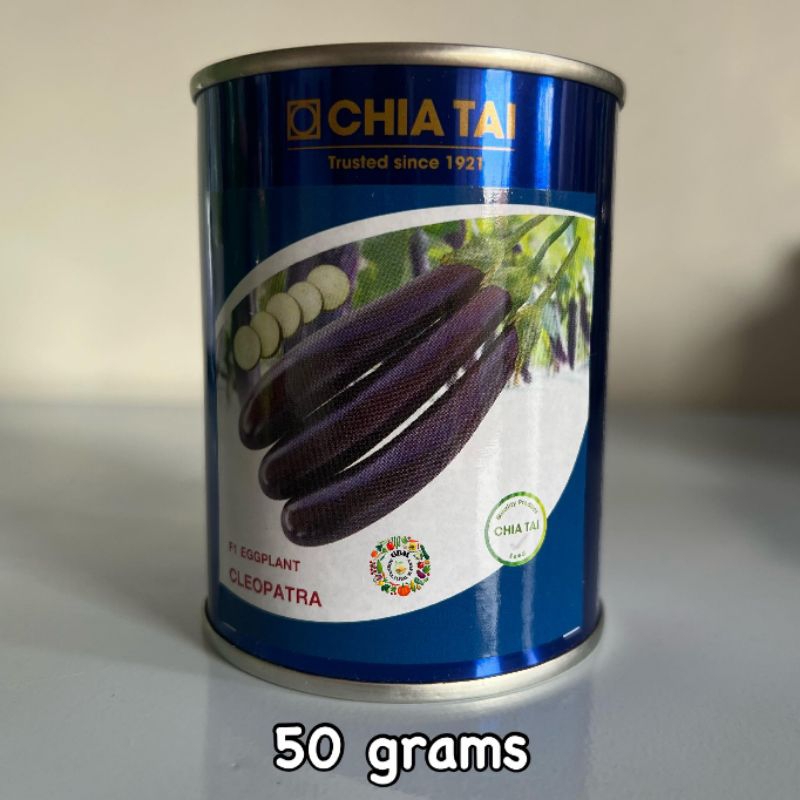 CLEOPATRA F1 (50g) CHIA TAI HYBRID EGGPLANT TALONG VEGETABLE QUALITY ...