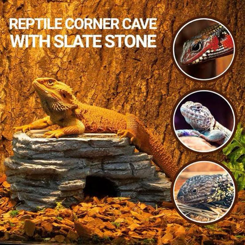 REPTIZOO CORNER HIDE CAVE WITH HEAT STORAGE SLATE HIDES reptiles ...