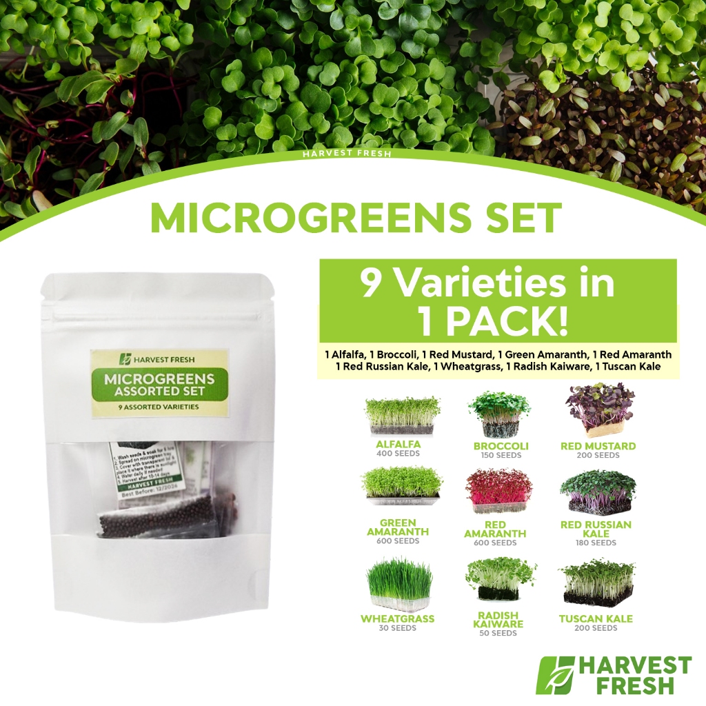Microgreens SET - 9 assorted sachets in 1 pack | Shopee Philippines