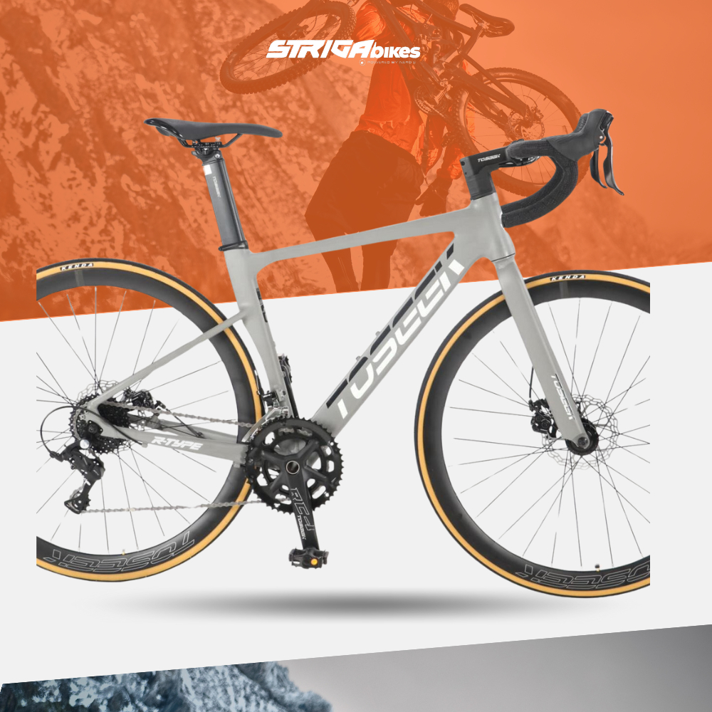 Toseek Type R V2 2024/2025 Disc Aero Frame Road Bike | Shopee Philippines