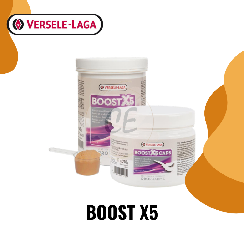 Versele-Laga OroPharma BOOST X5 Capsule and Powder | Shopee Philippines