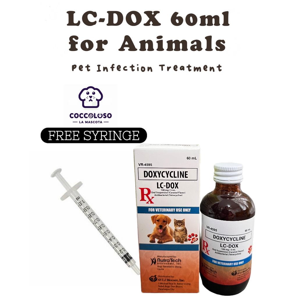Lc-Dox Doxycline Antibacterial Oral Suspension (Caramel Flavor) 60ml ...