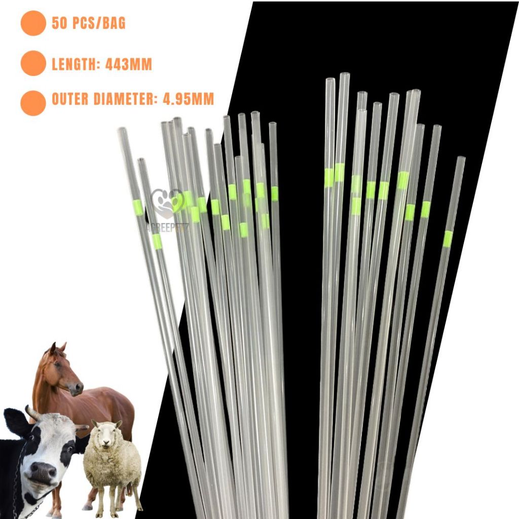 Artificial insemination AI sheath catheter for Cattle, in vitro ...