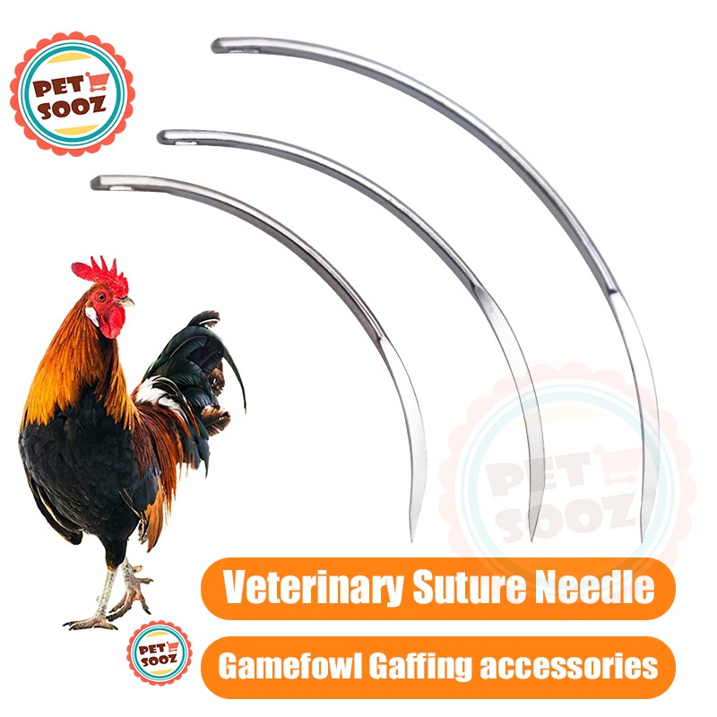 Veterinary Stainless Suture needle for gamefowl gaffing accessories ...