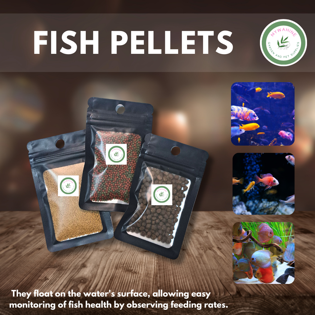 FISH FLOATING PELLET (10GRAMS) FISH FOOD FEEDS RED GREEN SMALL SUPER ...