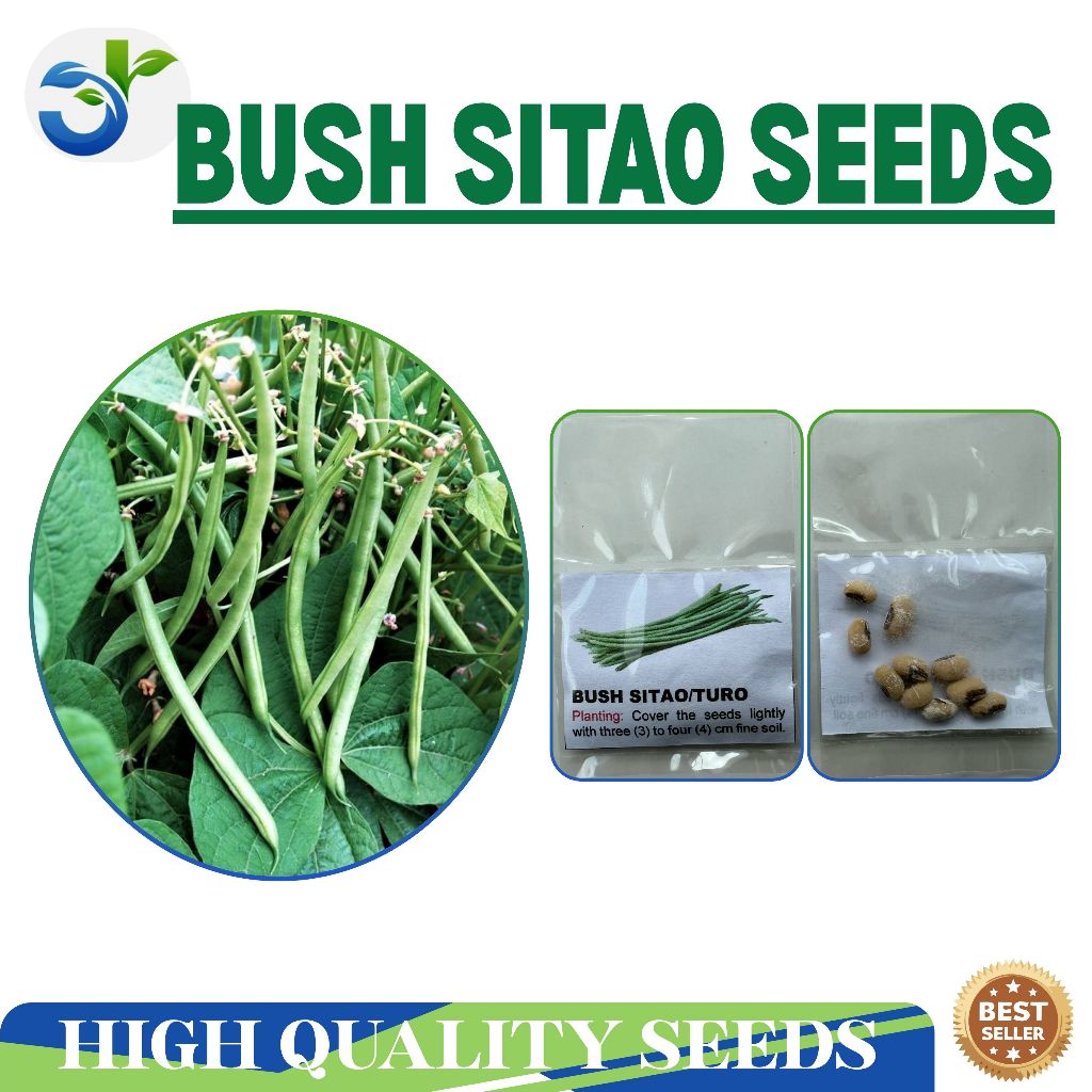 Sitaw na Turo / Bush sitao / 10seeds - (1pack) | Shopee Philippines