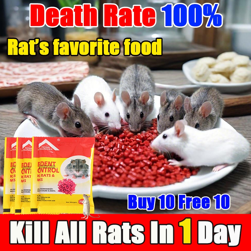 500x Rat Poison Killer Powder Stronger Than Cat Lason Sa Daga Harmless ...