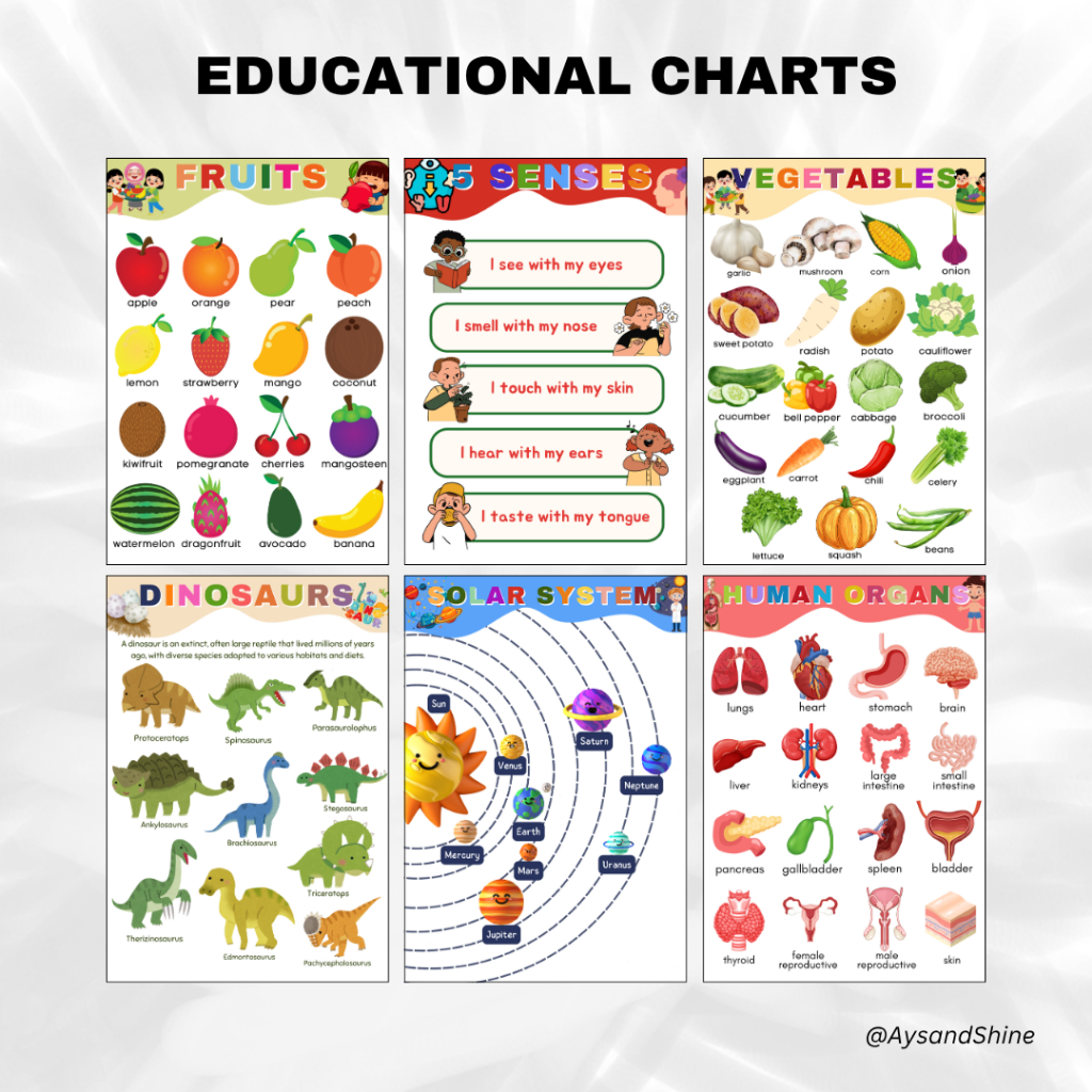 A4 Laminated Educational Wall Chart (ABC's, Numbers, Colors, Shapes ...