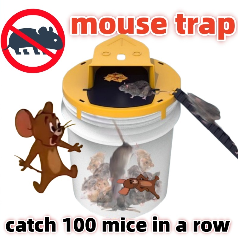 Mouse Bucket Trap cage perfect trap for big rats very suitable for ...