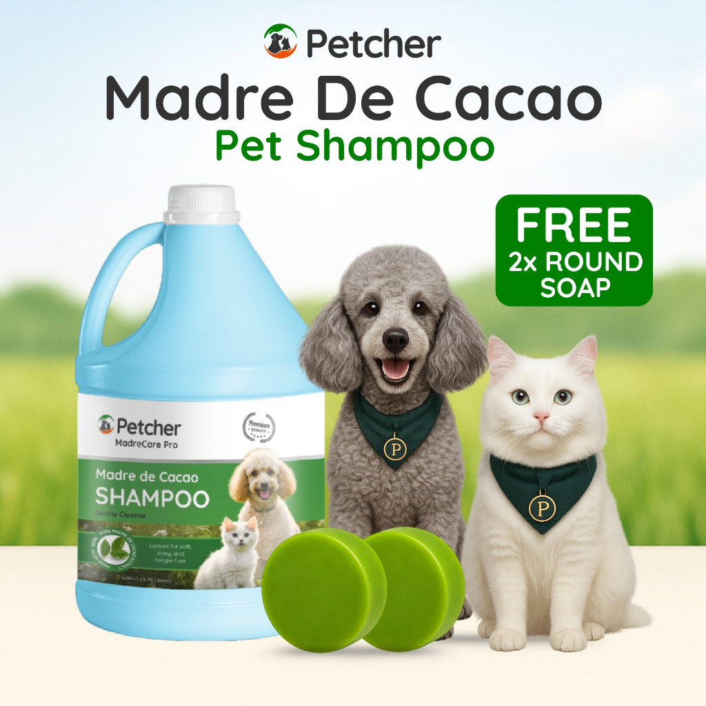 Petcher Madre de Cacao 1 Gallon 1 Liter 500ml Pet Shampoo with Free ...