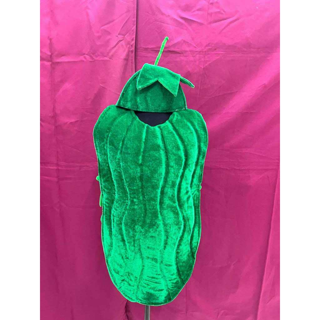 COD Nutrition Month Ampalaya Fruits & Vegetables School Event Cosplay Costume v4 for Kids ...