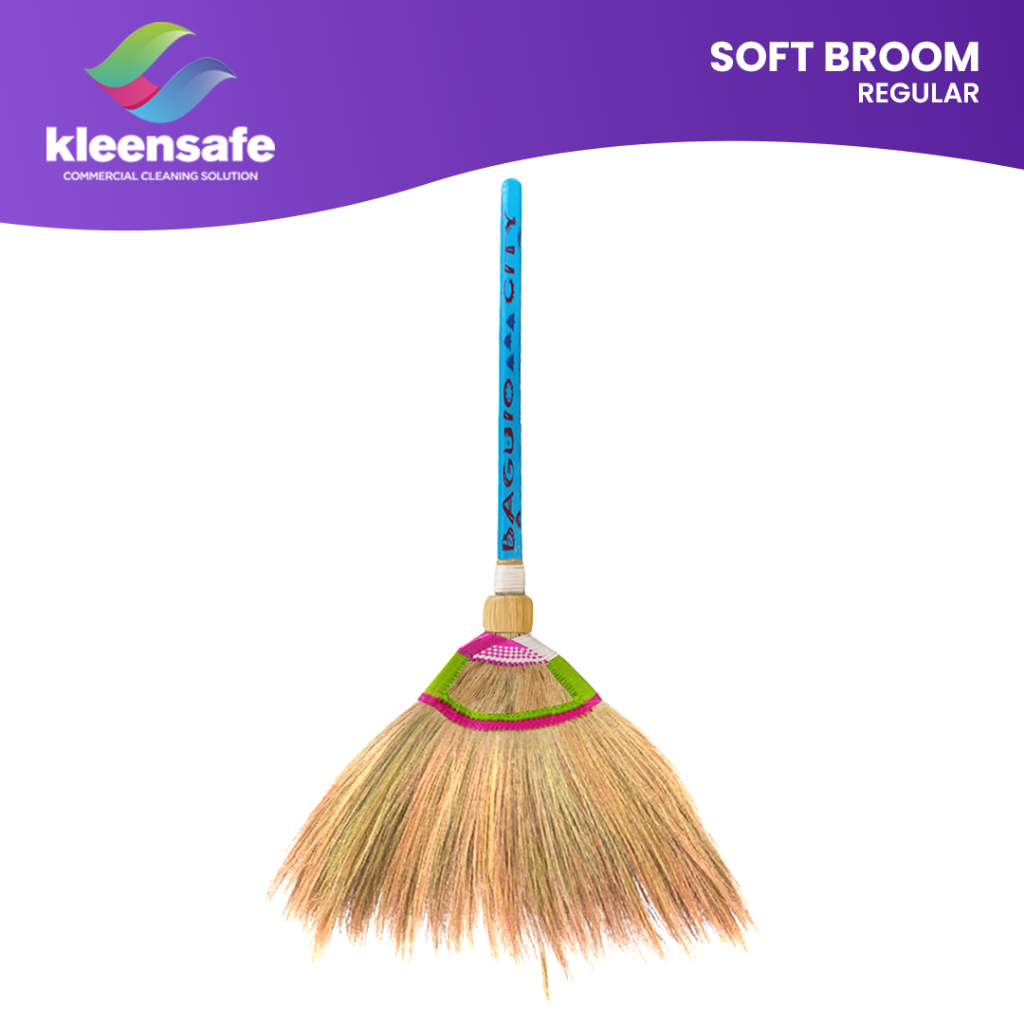 Kleensafe Soft Broom Baguio Regular Walis Tambo Plastic-coated Wooden ...