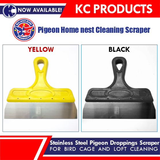 Yellow/Black 10 inches Pigeon Droppings Scraper–Stainless Steel Tool ...