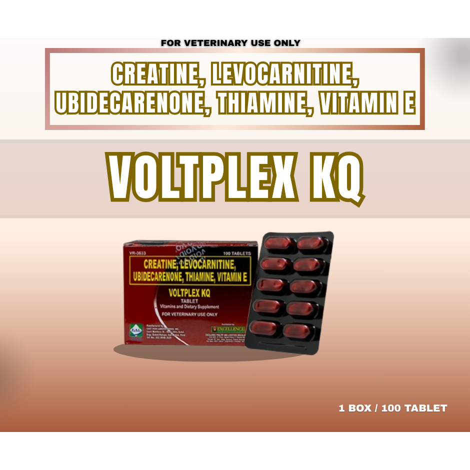 [APS] Voltplex KQ Gamefowl Supplement – Power • Stamina • Alertness ...