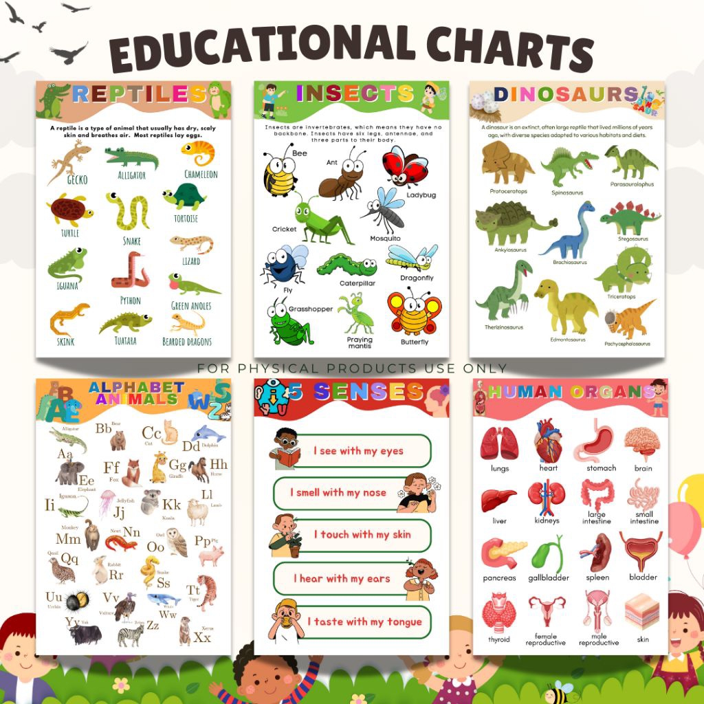 A5 LAMINATED EDUCATIONAL CHART | Shopee Philippines